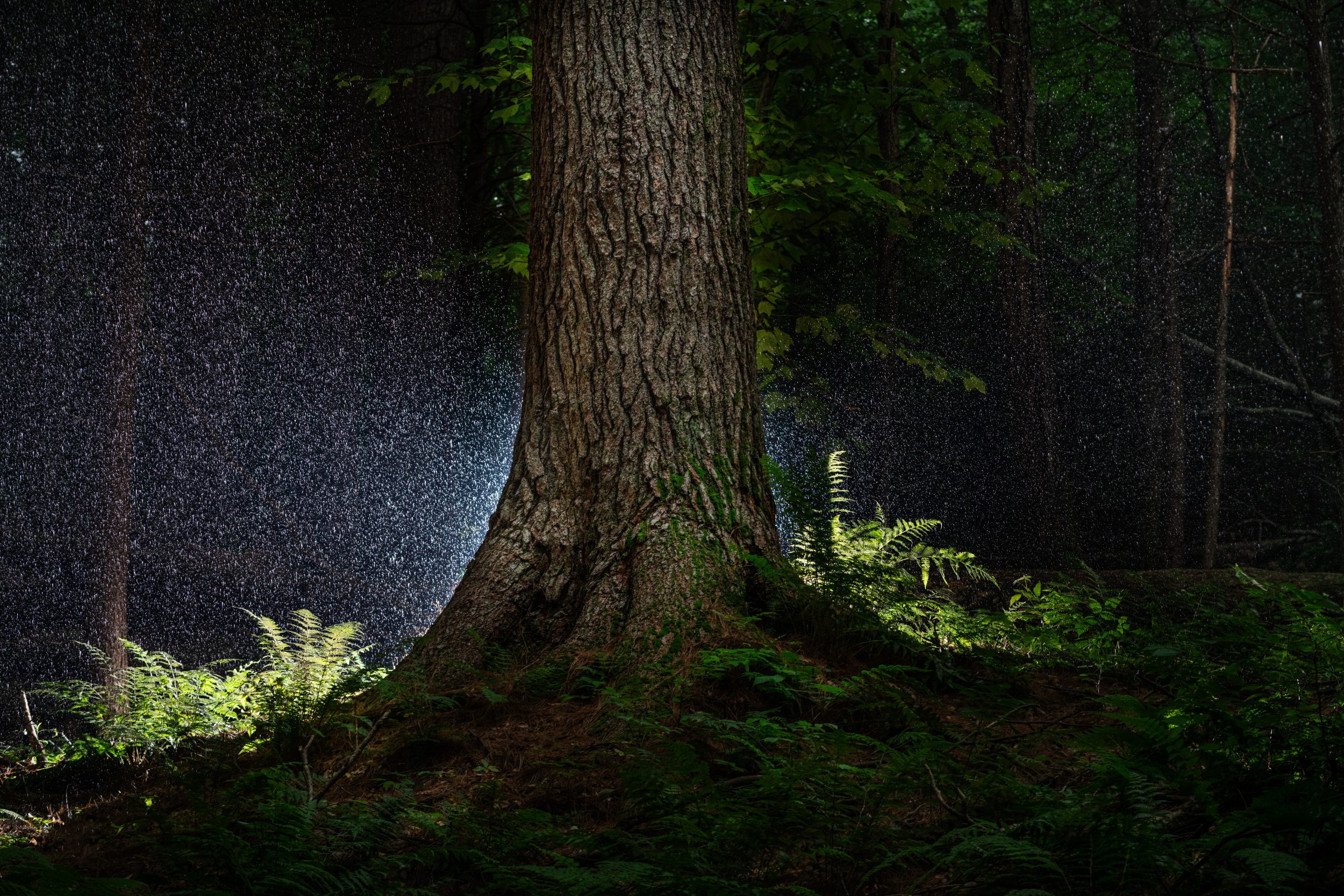 Boston Photographer - David Degner